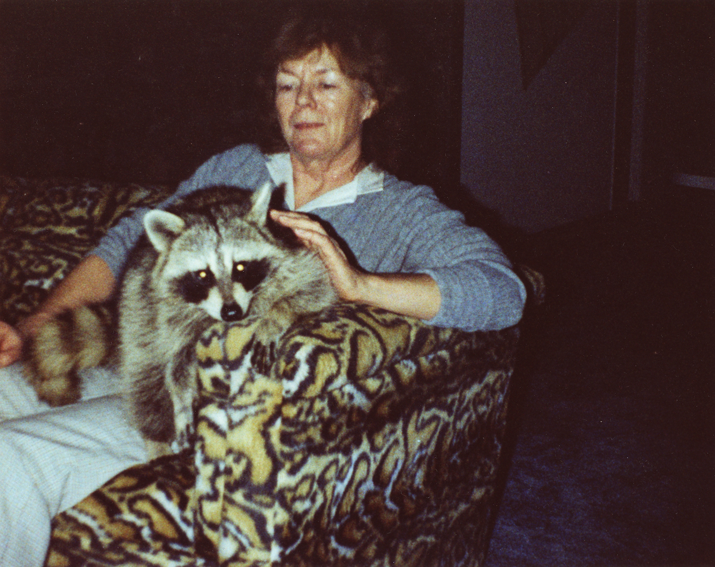 Leopard print couch and Racoon – Bryan Graf